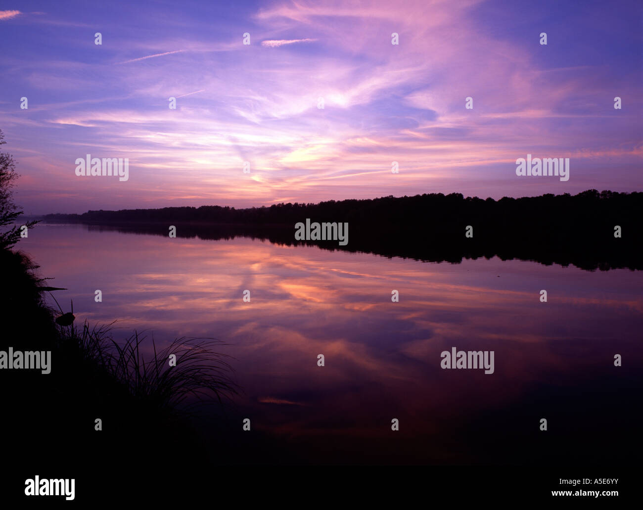 Lila rig hi-res stock photography and images - Alamy