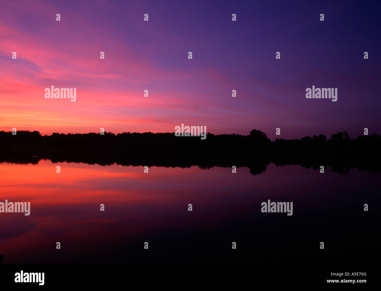 Lila rig hi-res stock photography and images - Alamy