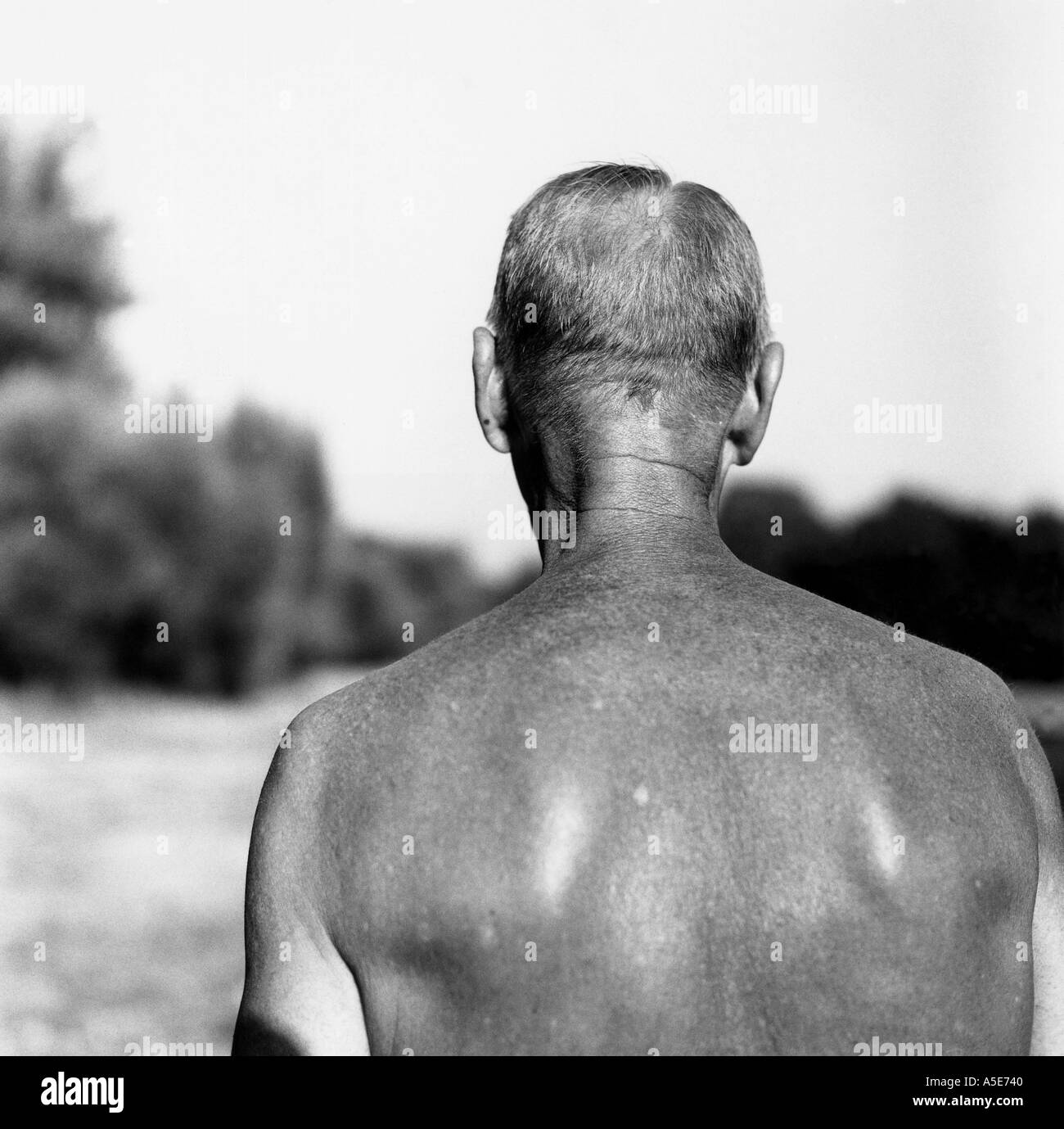 The old man s back Stock Photo - Alamy