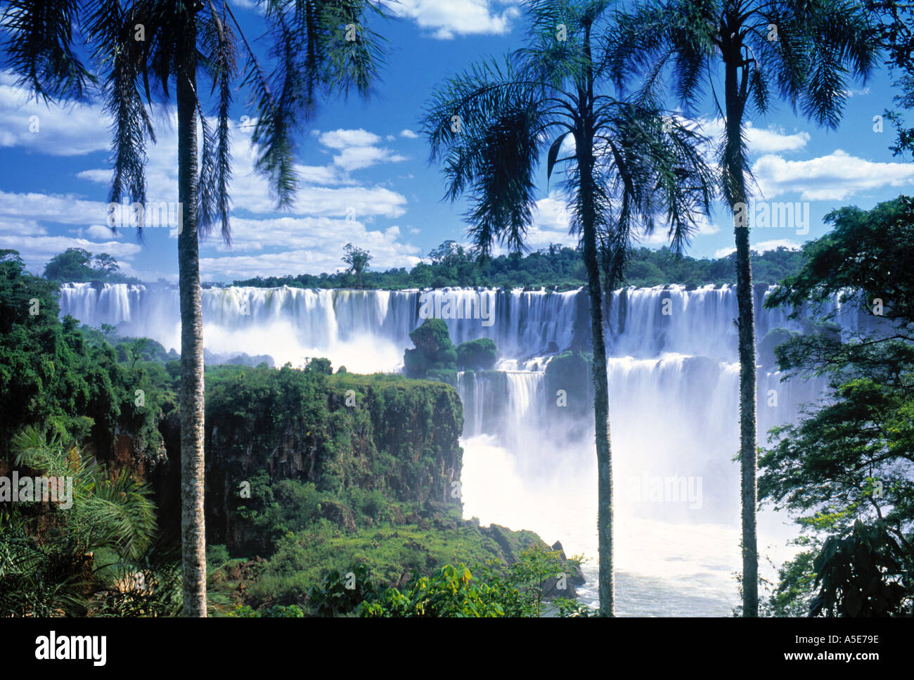 Iguazu falls and palm trees hi-res stock photography and images - Alamy