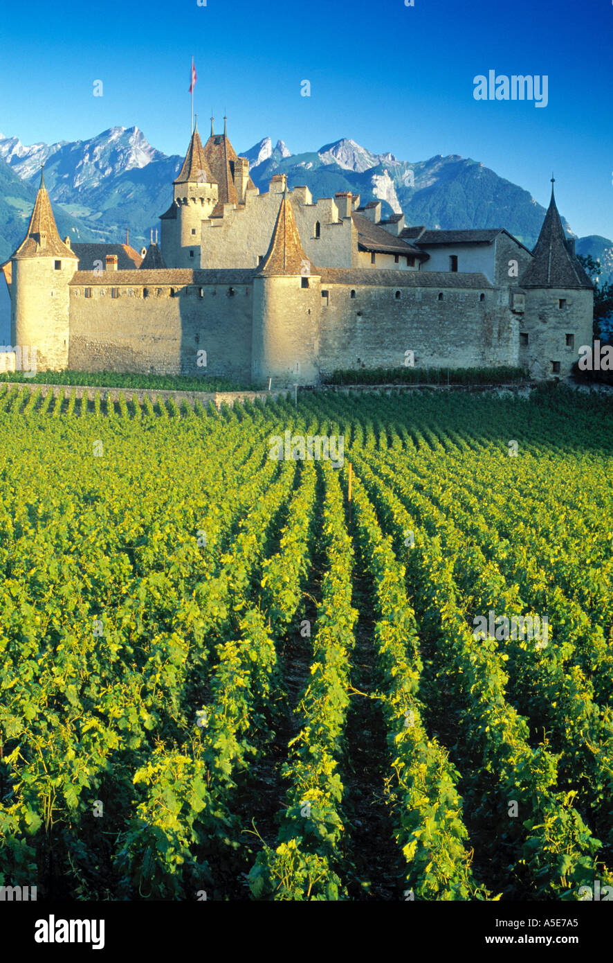Chateau d'Aigle Vaud Switzerland Stock Photo - Alamy