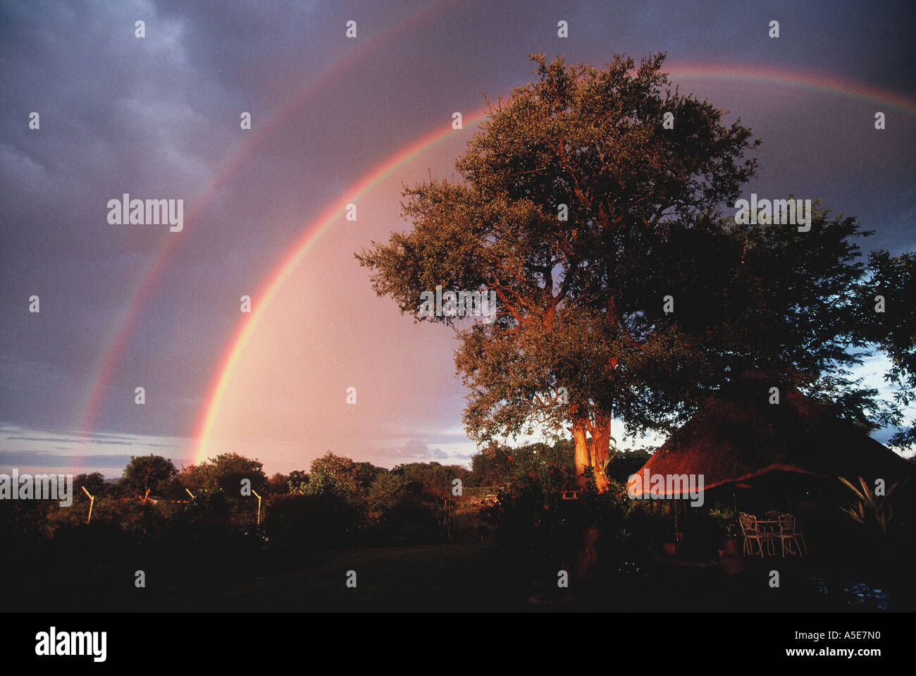 Esogodini hi-res stock photography and images - Alamy