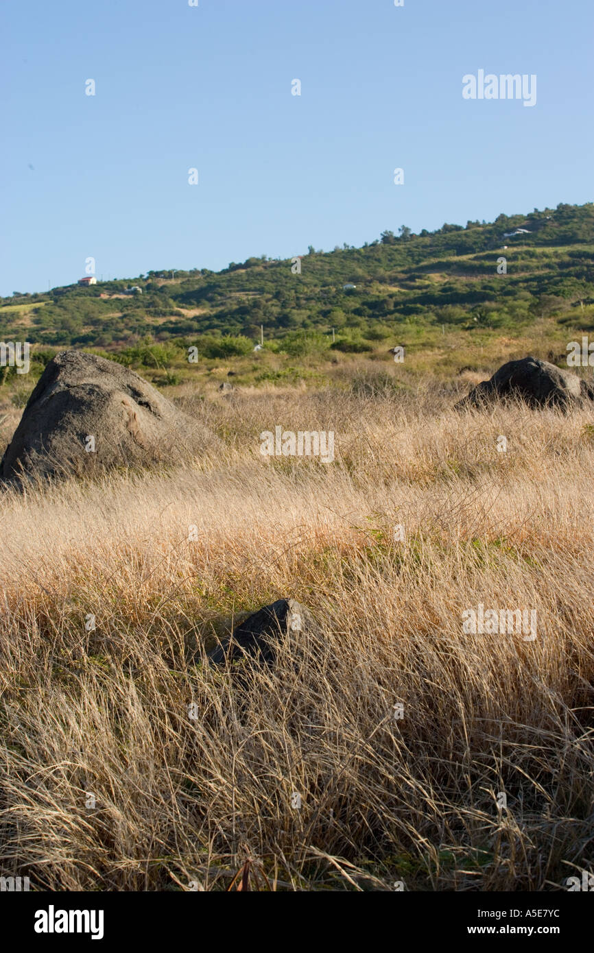 Grass Hillside, Reunion Stock Photo - Alamy