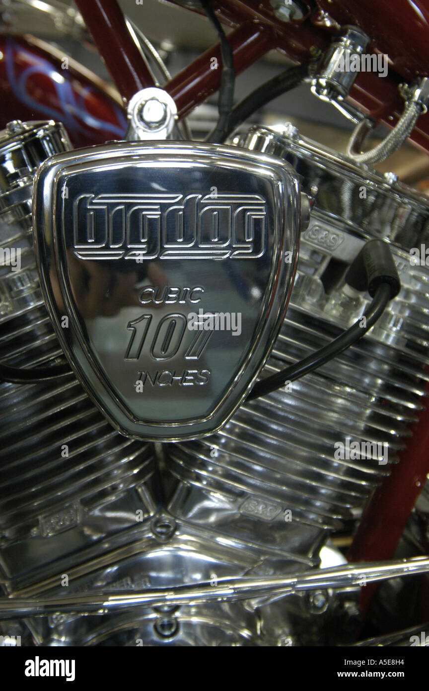 Big Dog MC, Logo On Air Cleaner Cover Stock Photo - Alamy