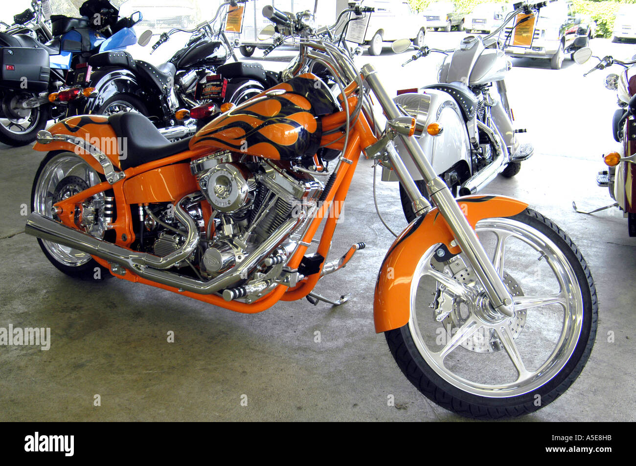 Big Dog MC, Mastiff Stock Photo - Alamy