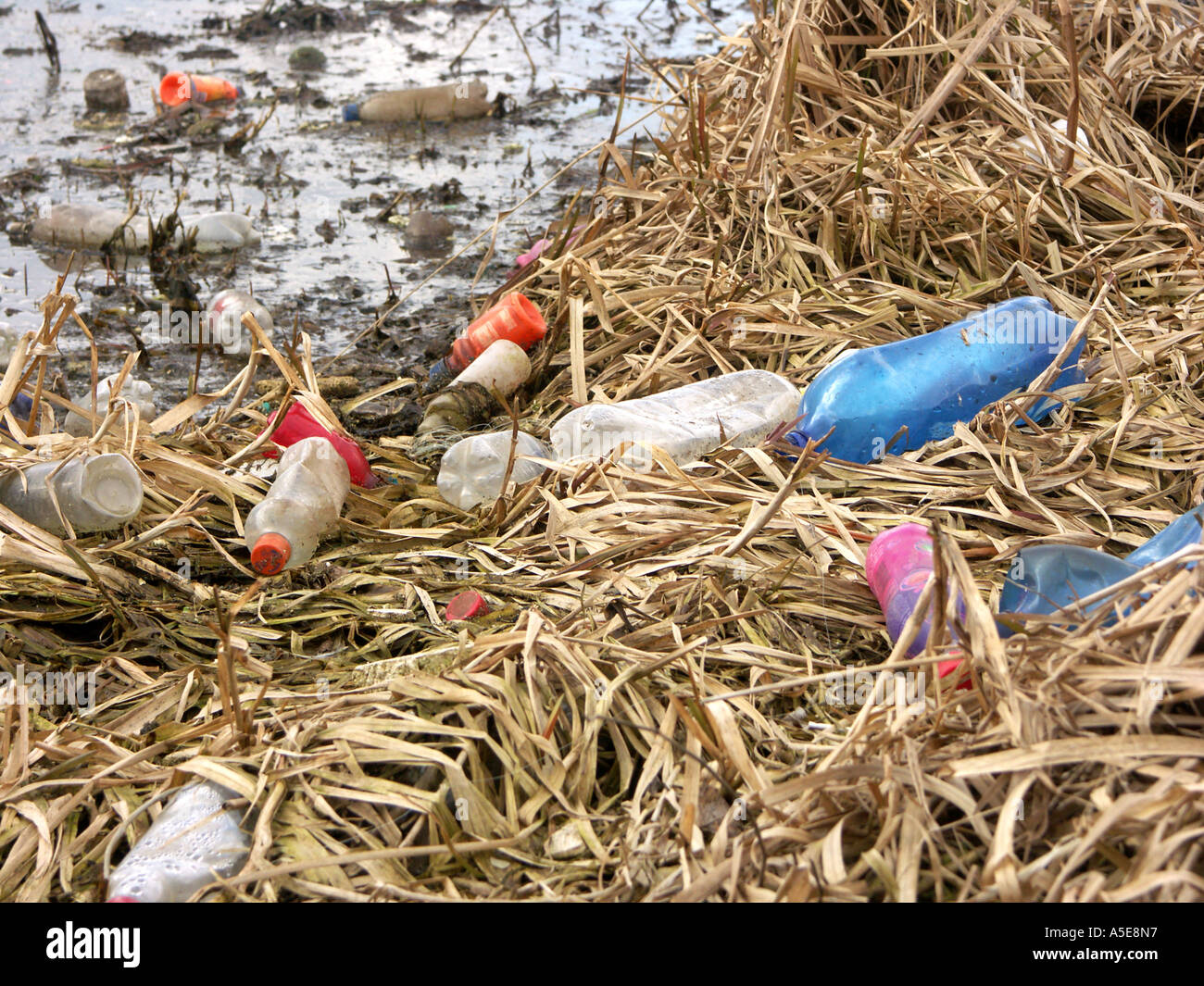 Litter and debris floating in water 2 Stock Photo - Alamy