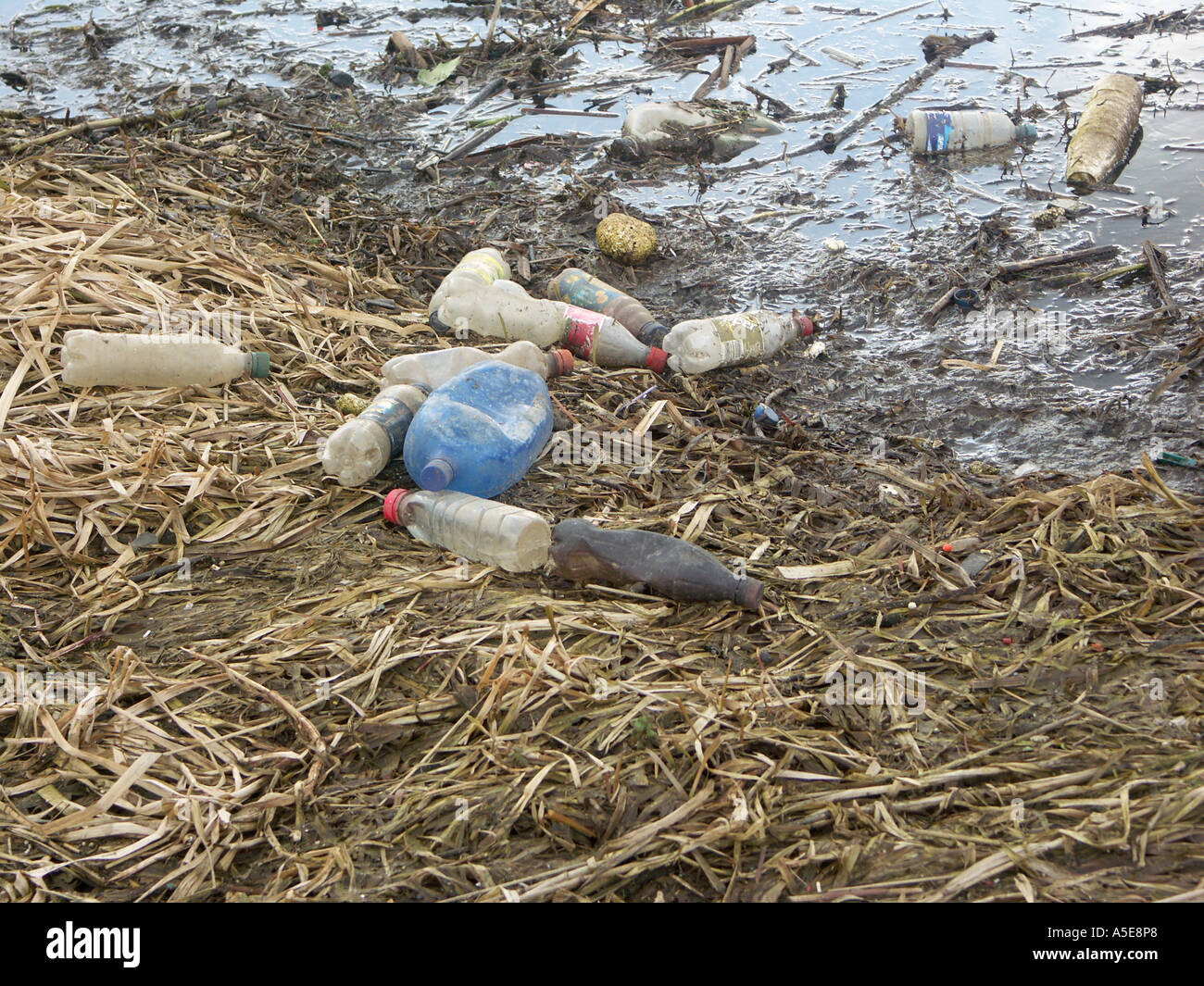 Garbage floating over water hi-res stock photography and images - Alamy