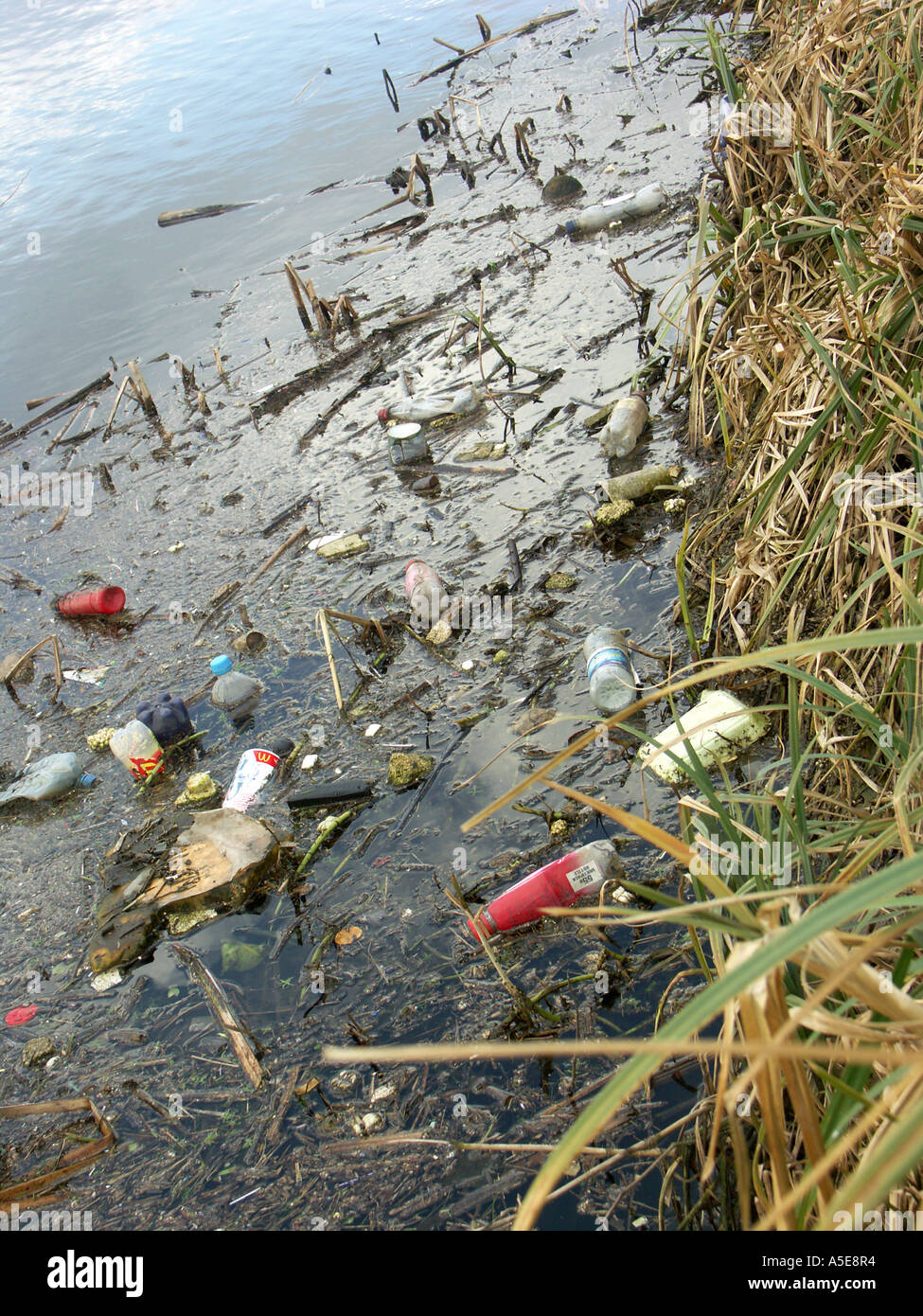 Rubbish floating over water hi-res stock photography and images - Alamy