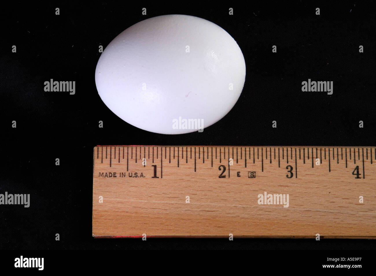 Egg, Large, Ruler Stock Photo - Alamy