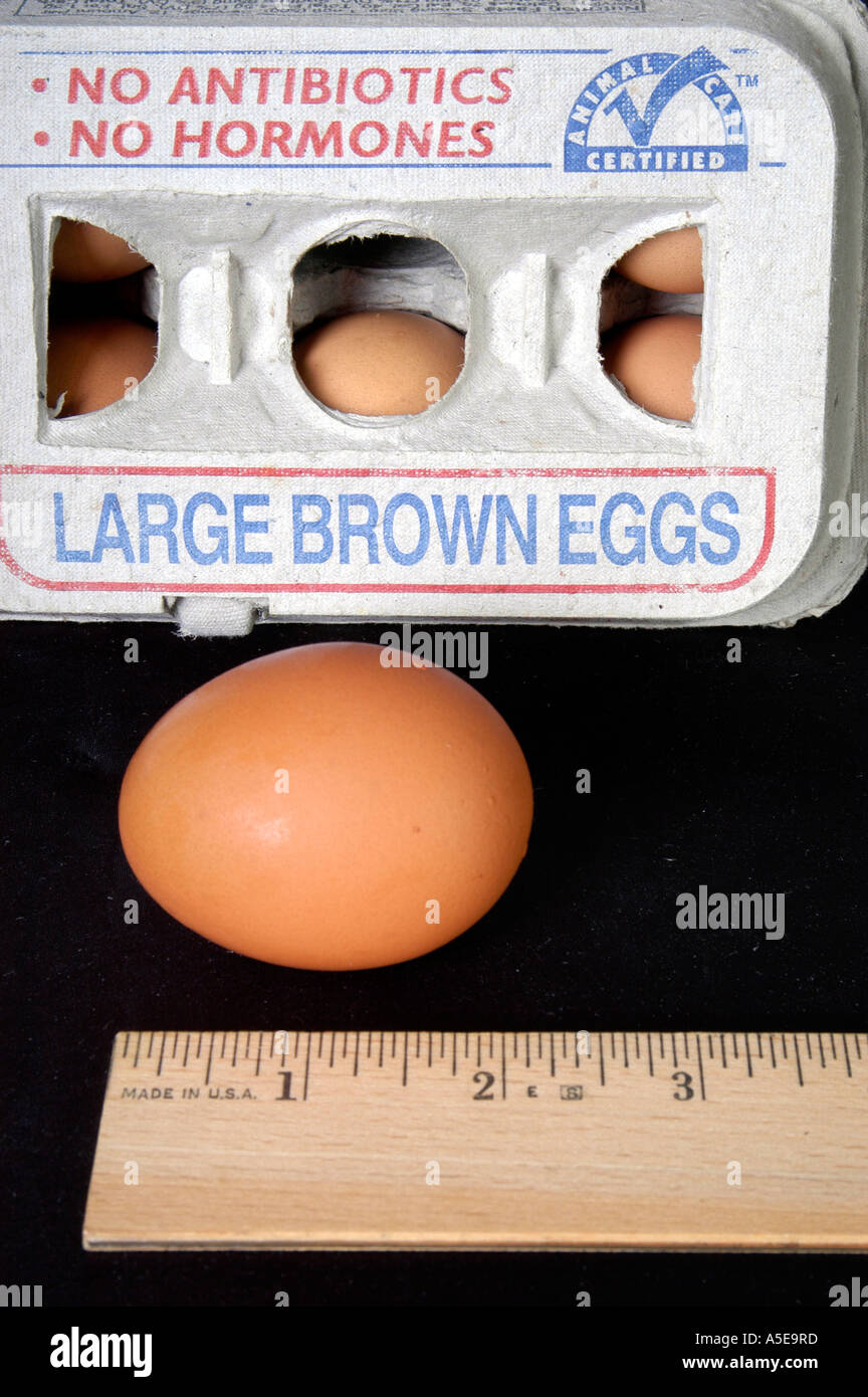 Large ruler hi-res stock photography and images - Alamy