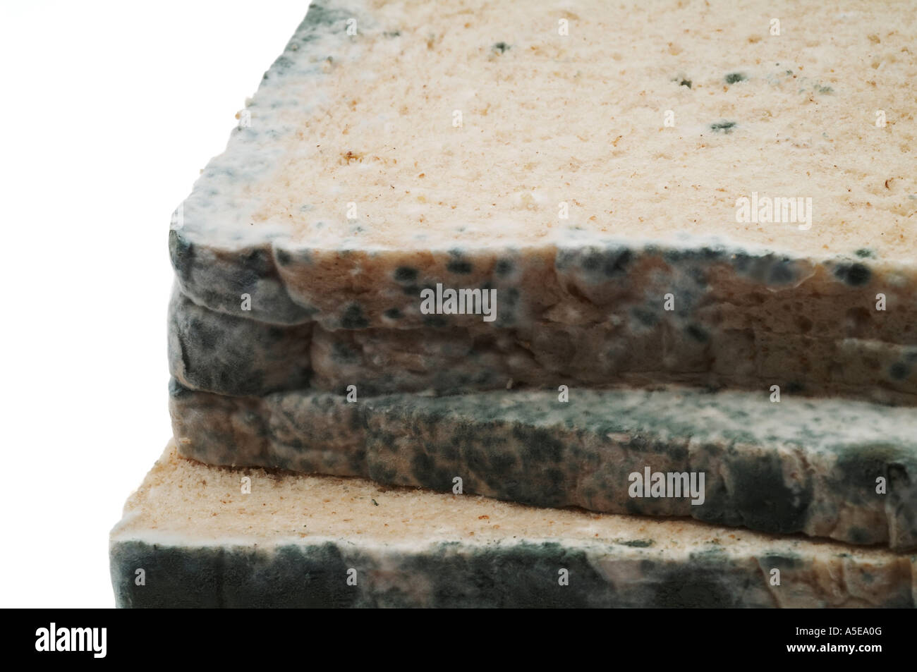 Mouldy bread food Stock Photo - Alamy