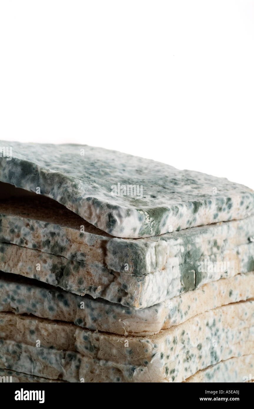 Mouldy bread food Stock Photo - Alamy