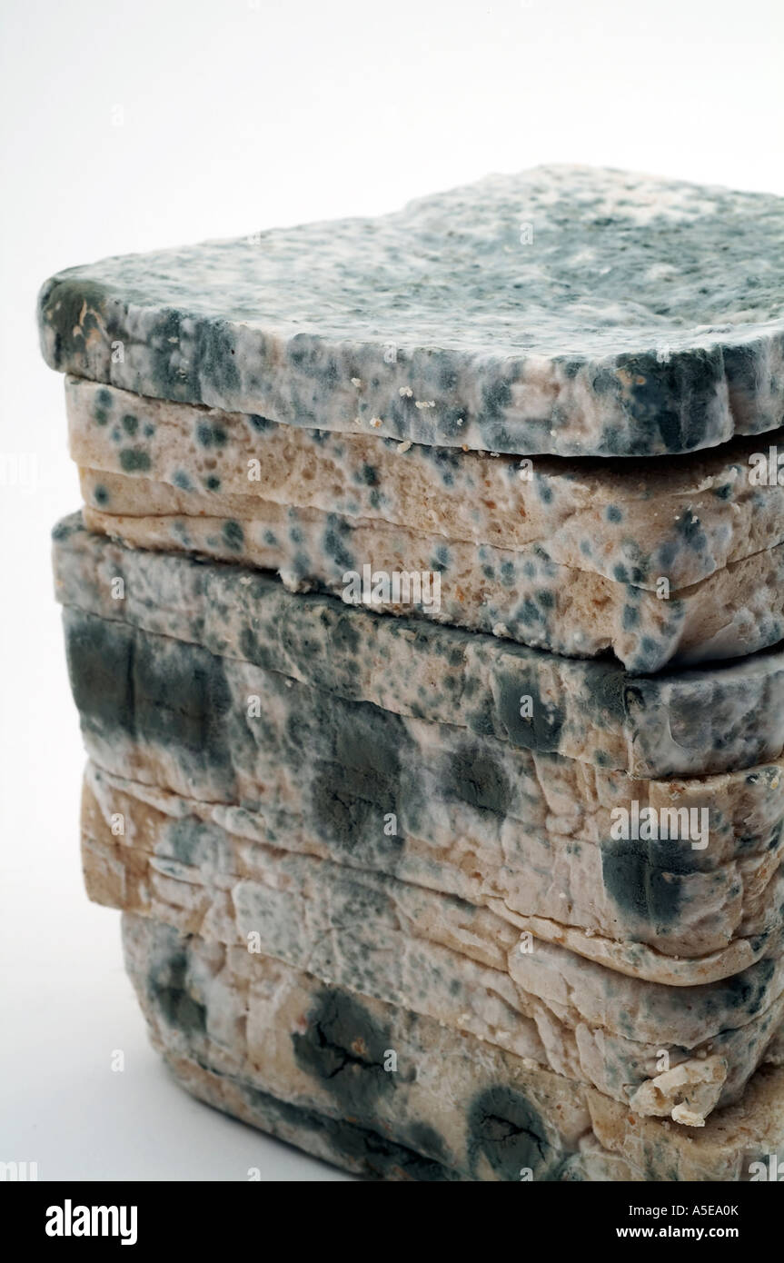 Mouldy bread food Stock Photo - Alamy