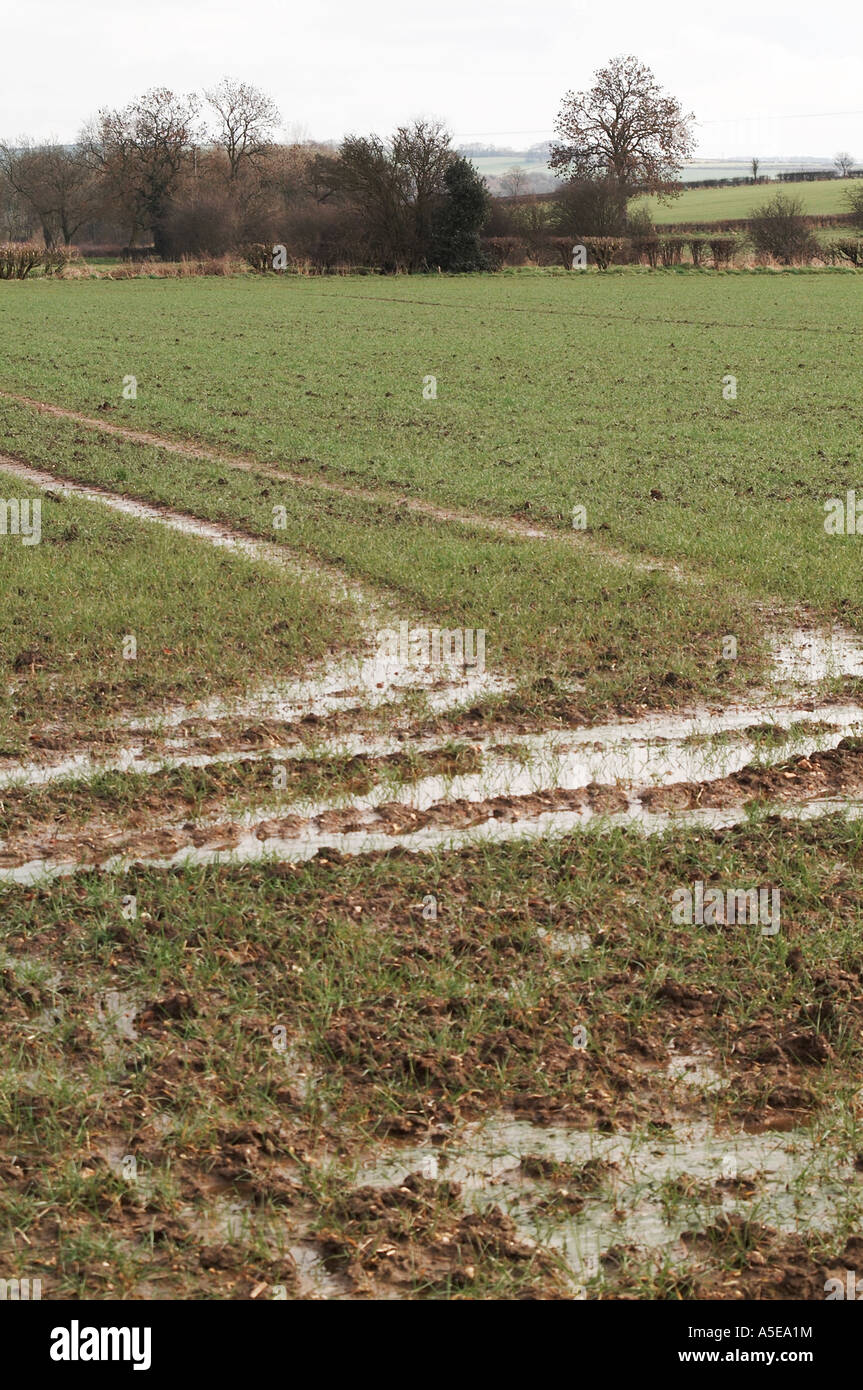 Waterlogged earth hi-res stock photography and images - Alamy