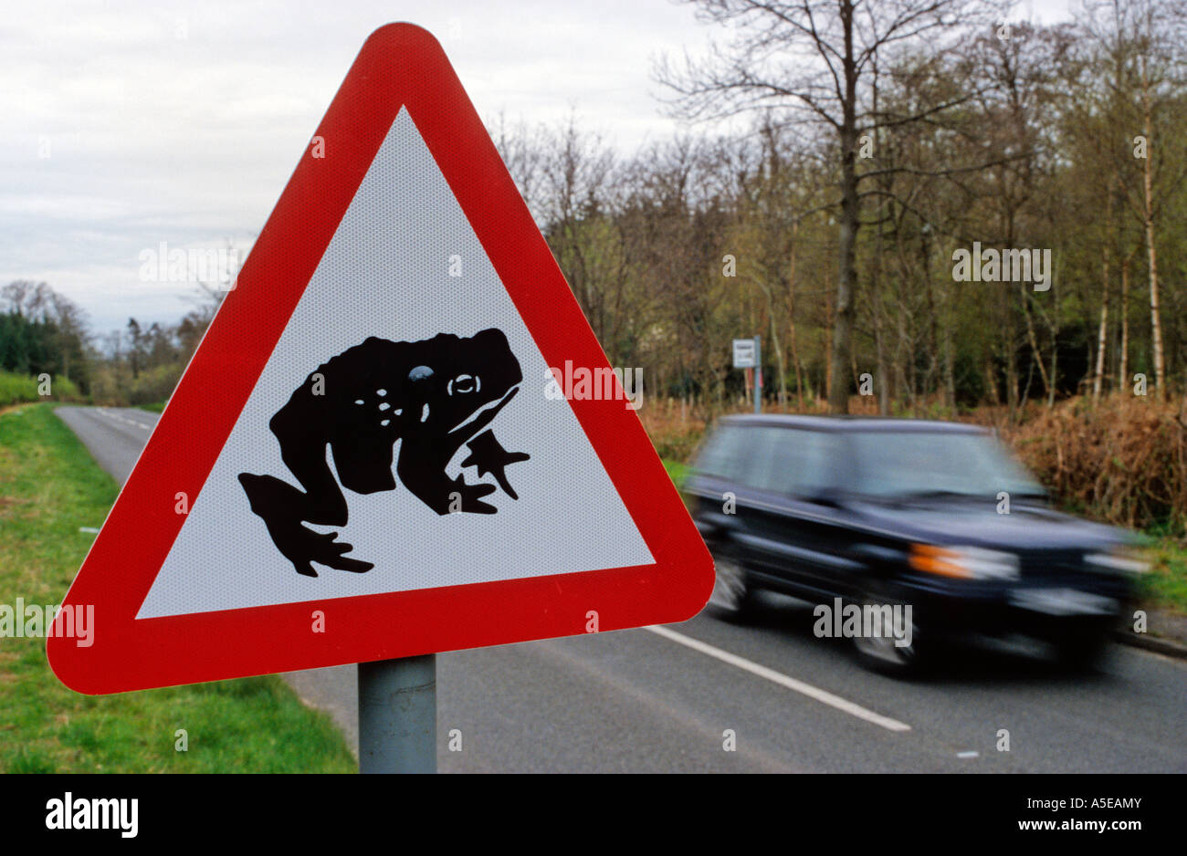 Toad Crossing sign, Bagley Wood, near Oxford, UK Stock Photo - Alamy