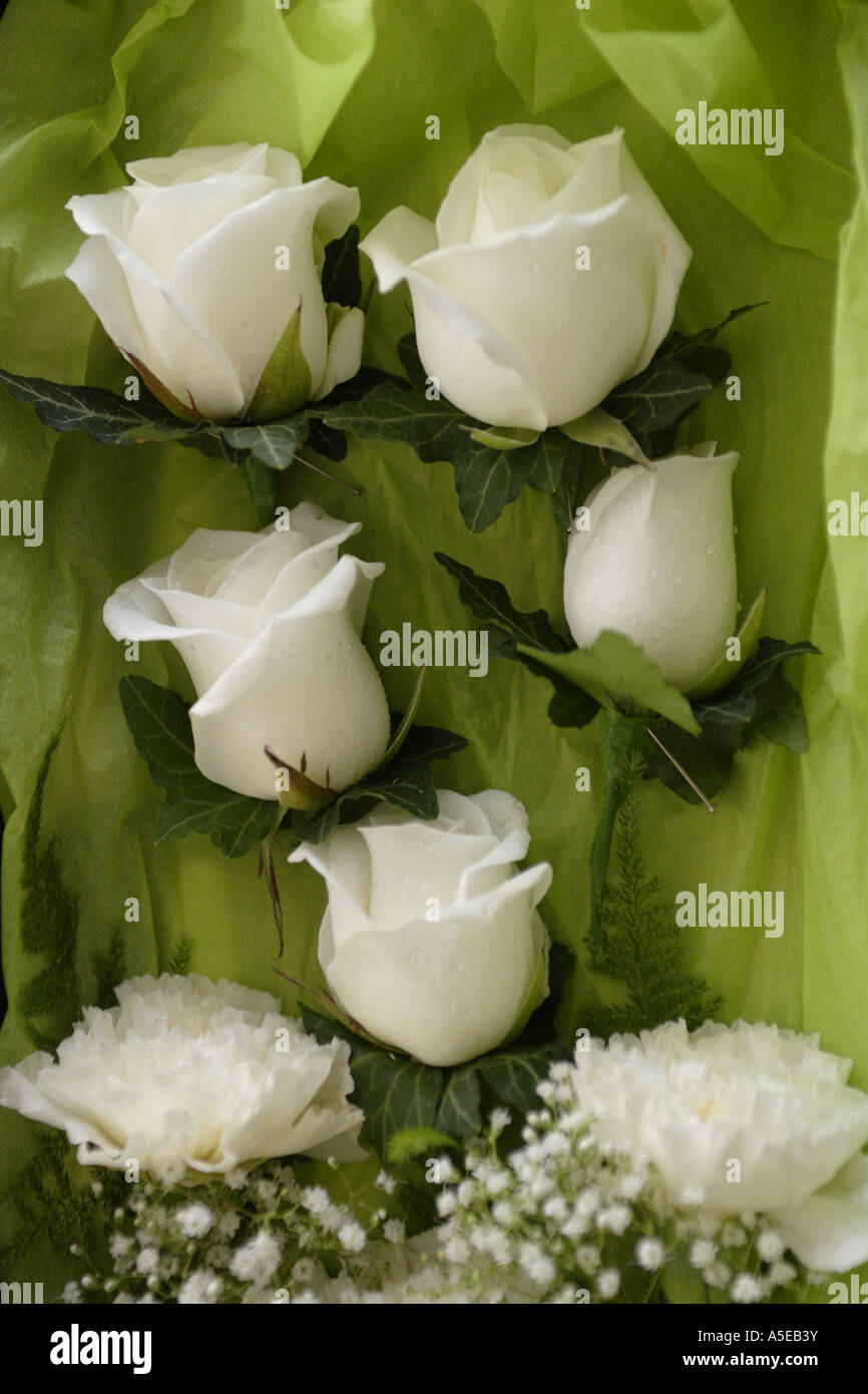 wedding roses button holes Stock Photo - Alamy