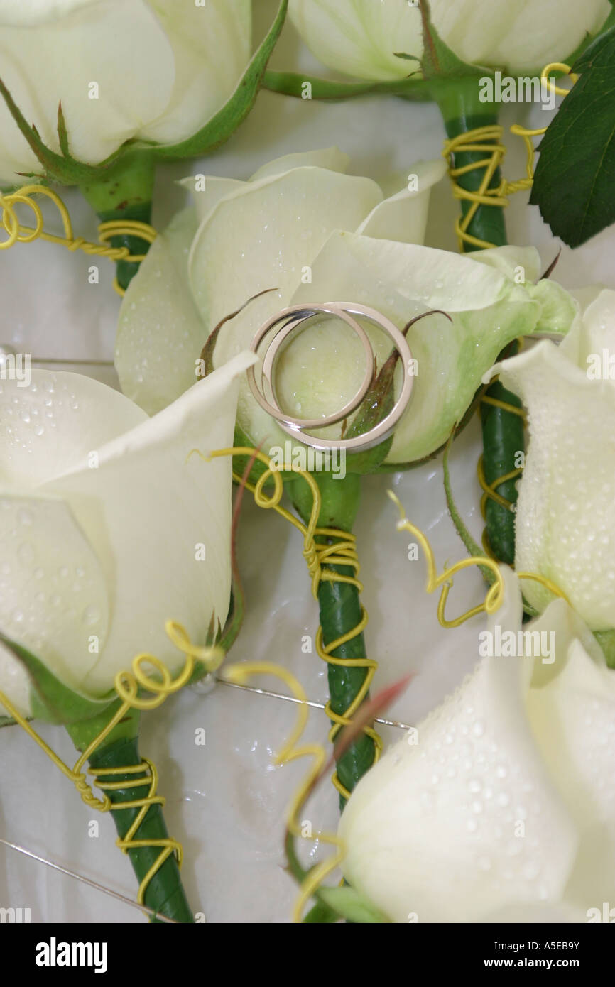 wedding rings on roses Stock Photo - Alamy