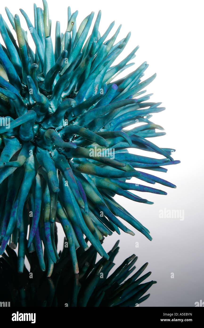 ceramic sea urchin Stock Photo - Alamy