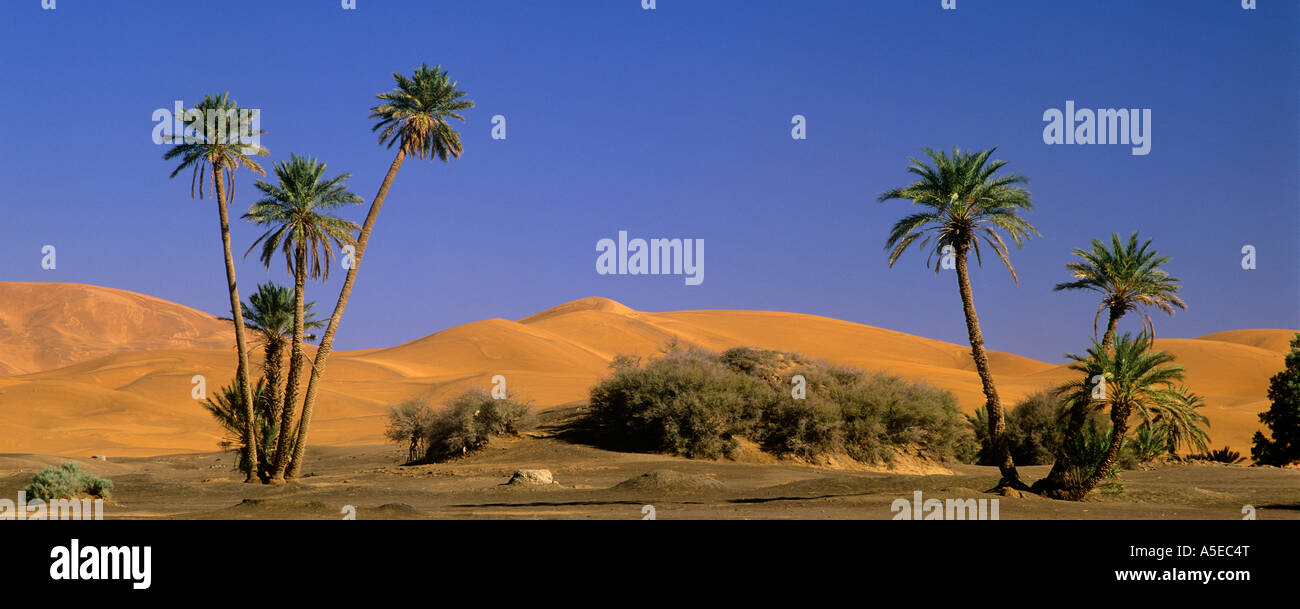 Tafilalt oasis hi-res stock photography and images - Alamy