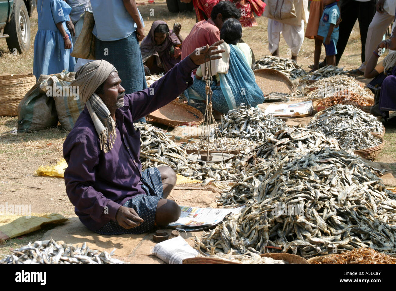 Fish for sale at the weekly Dongria Kondh tribal market,Orissa ,India ...