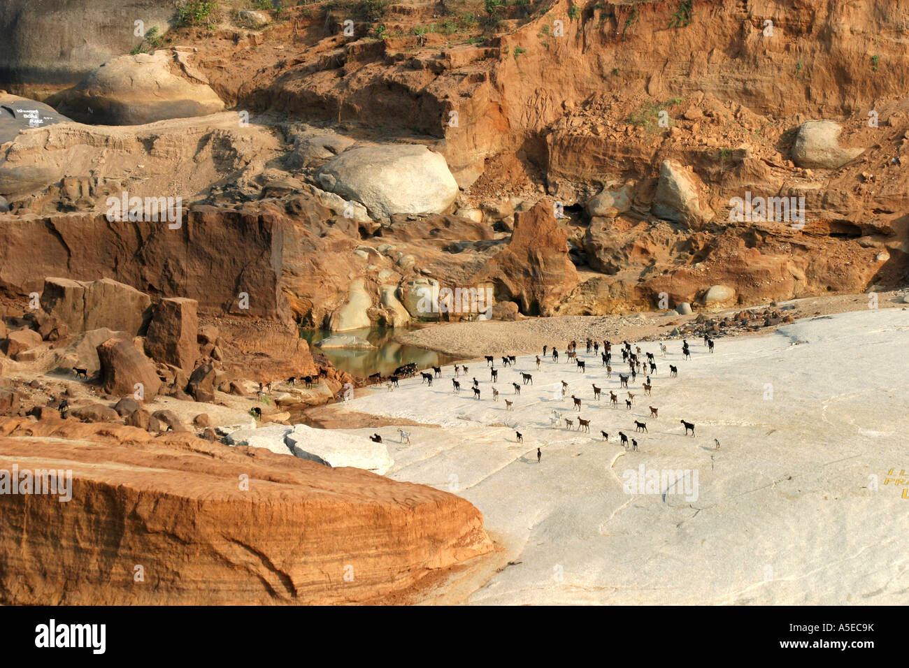 Nagavali River, Orissa where flooding destroyed the much visited ...
