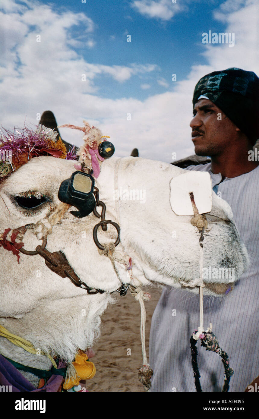 The man and the camel Stock Photo - Alamy