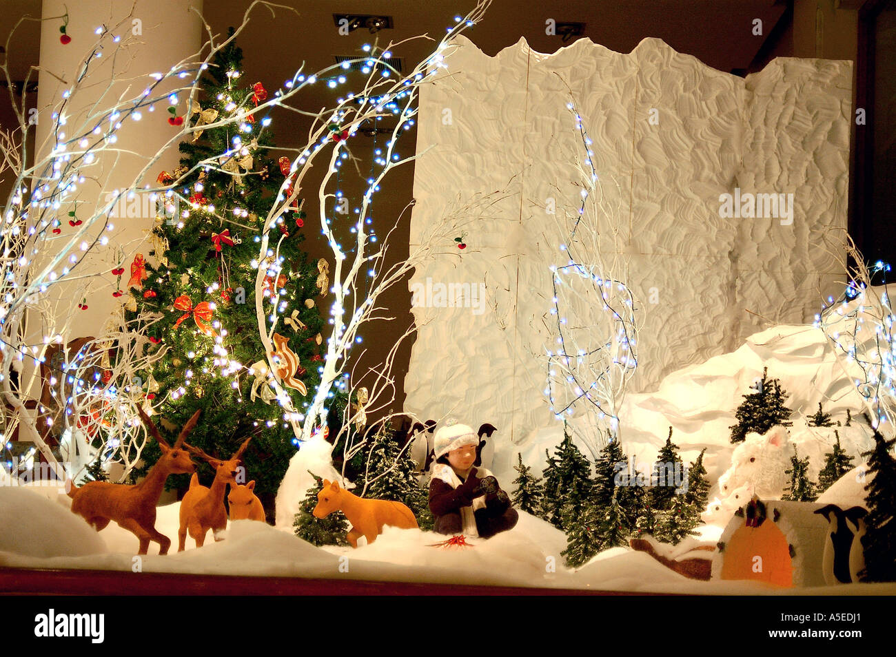 Celebrating christmas india hi-res stock photography and images - Alamy