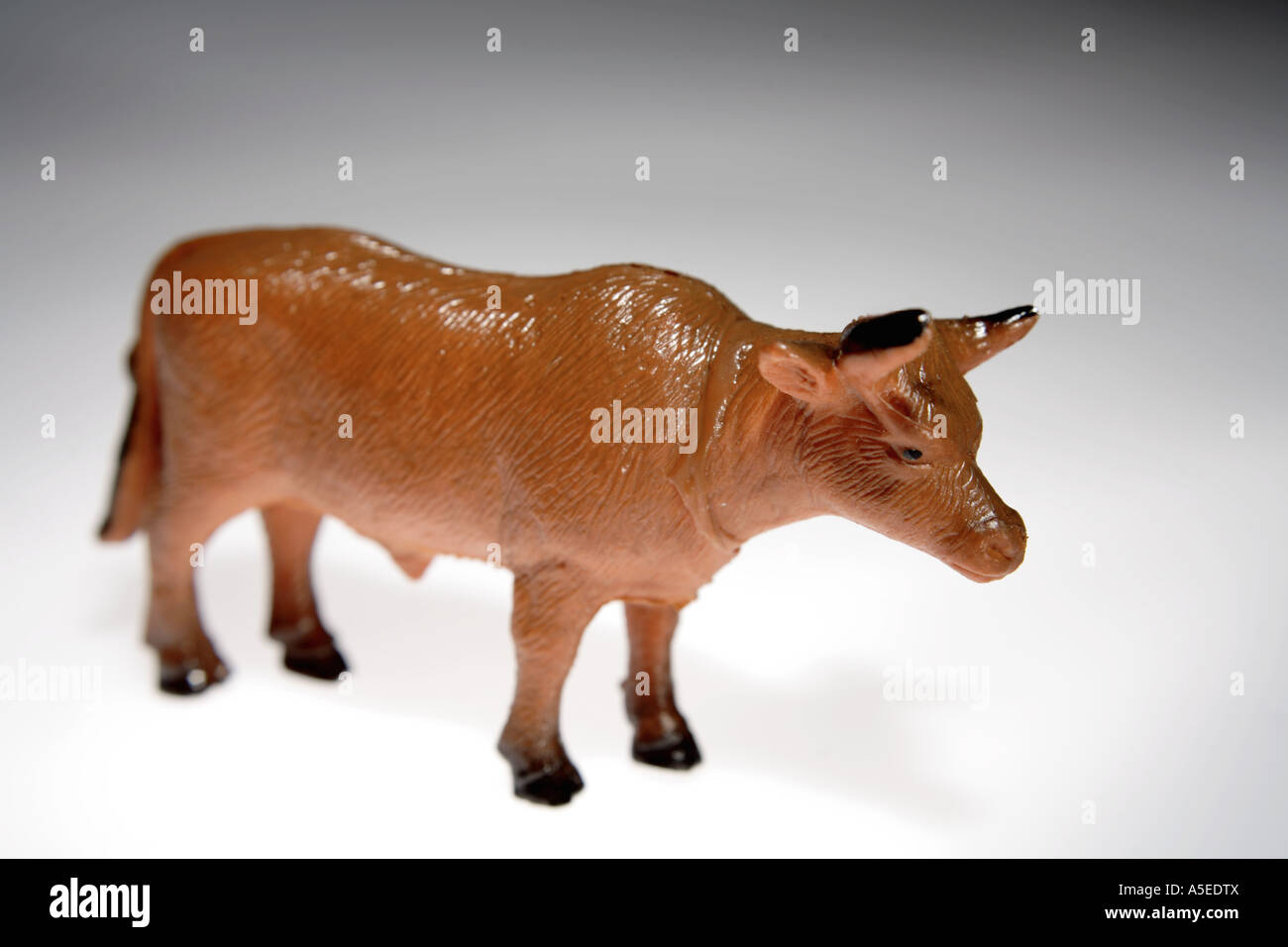 Fake plastic cow hi-res stock photography and images - Alamy