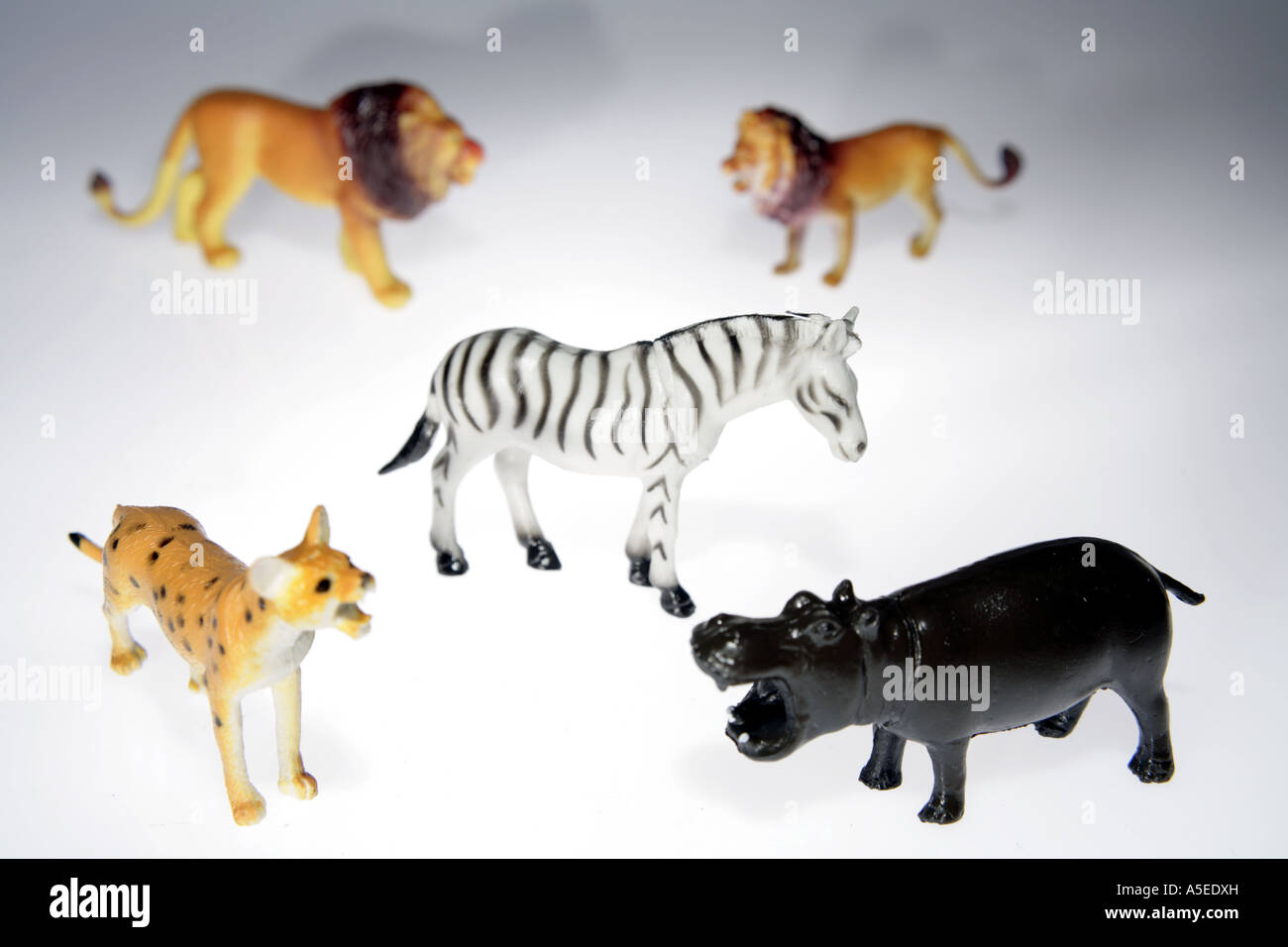 Plastic hippo toy hi-res stock photography and images - Alamy