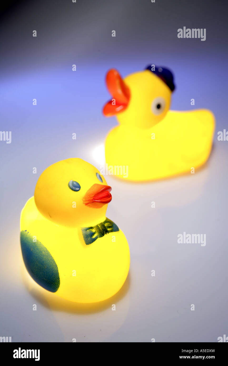 Rubber ducky humor hi-res stock photography and images - Alamy