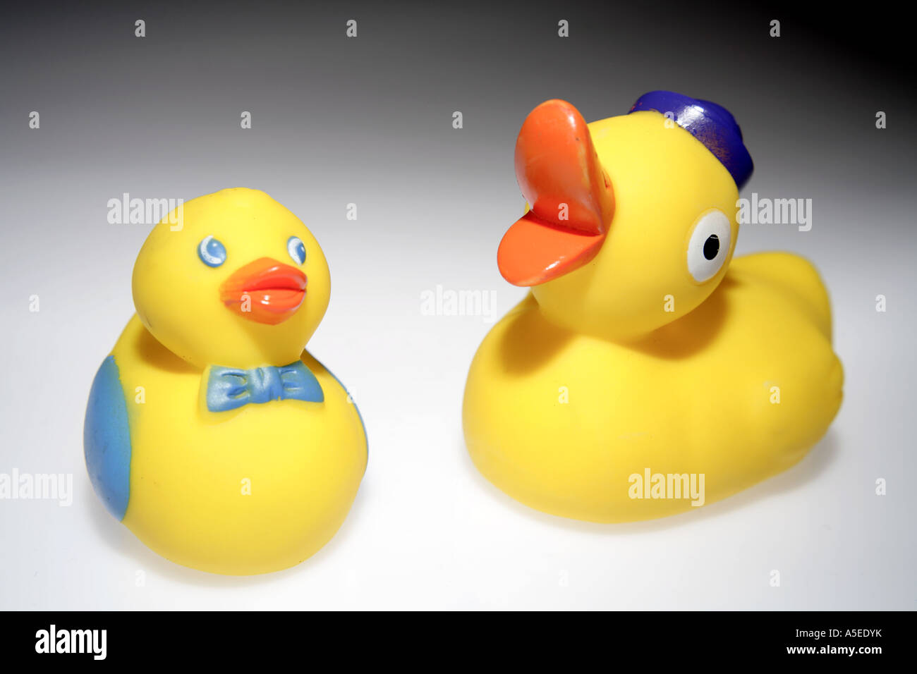 Two rubber ducks bath hi-res stock photography and images - Alamy