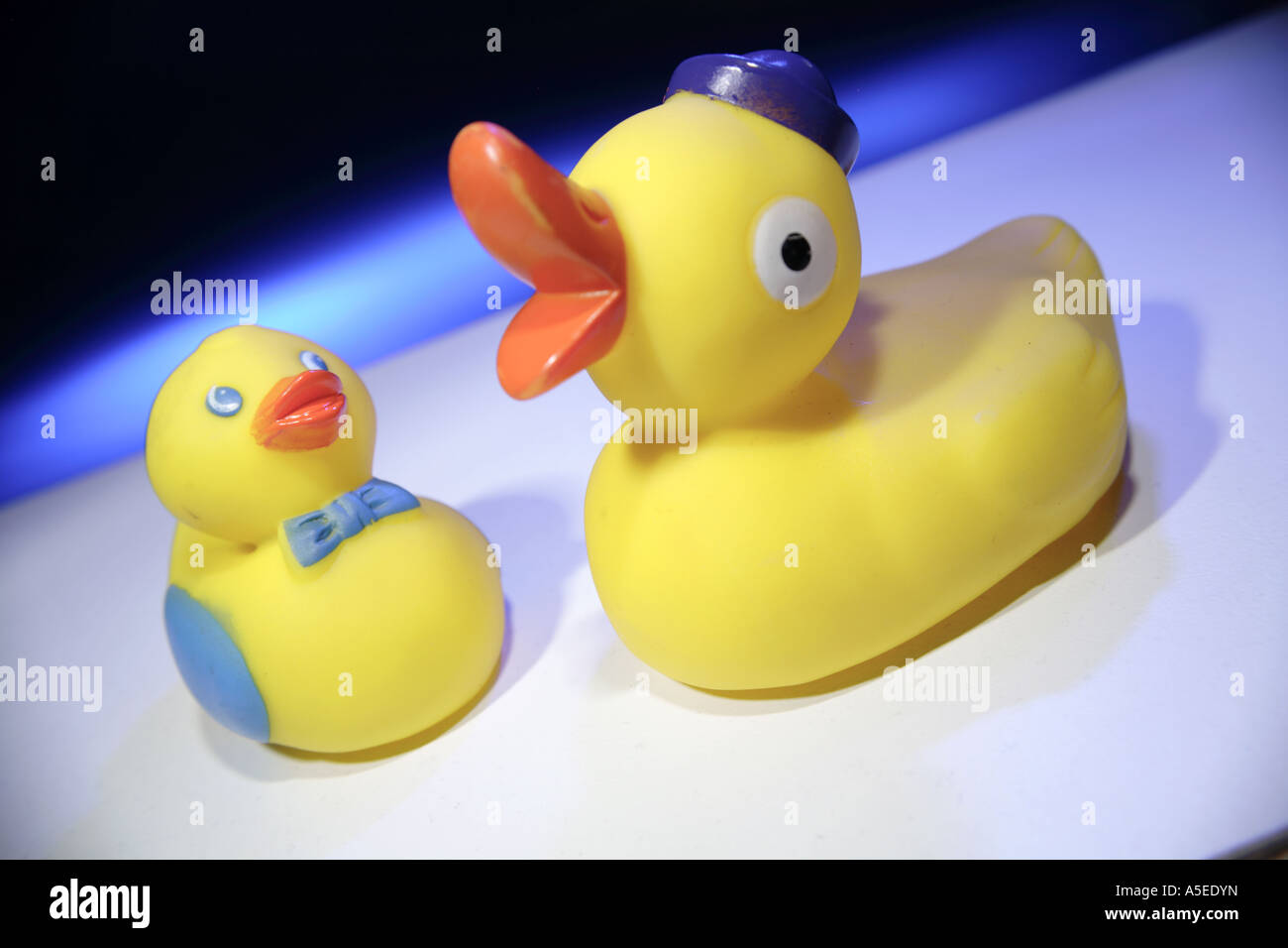Two rubber ducks bath hi-res stock photography and images - Alamy