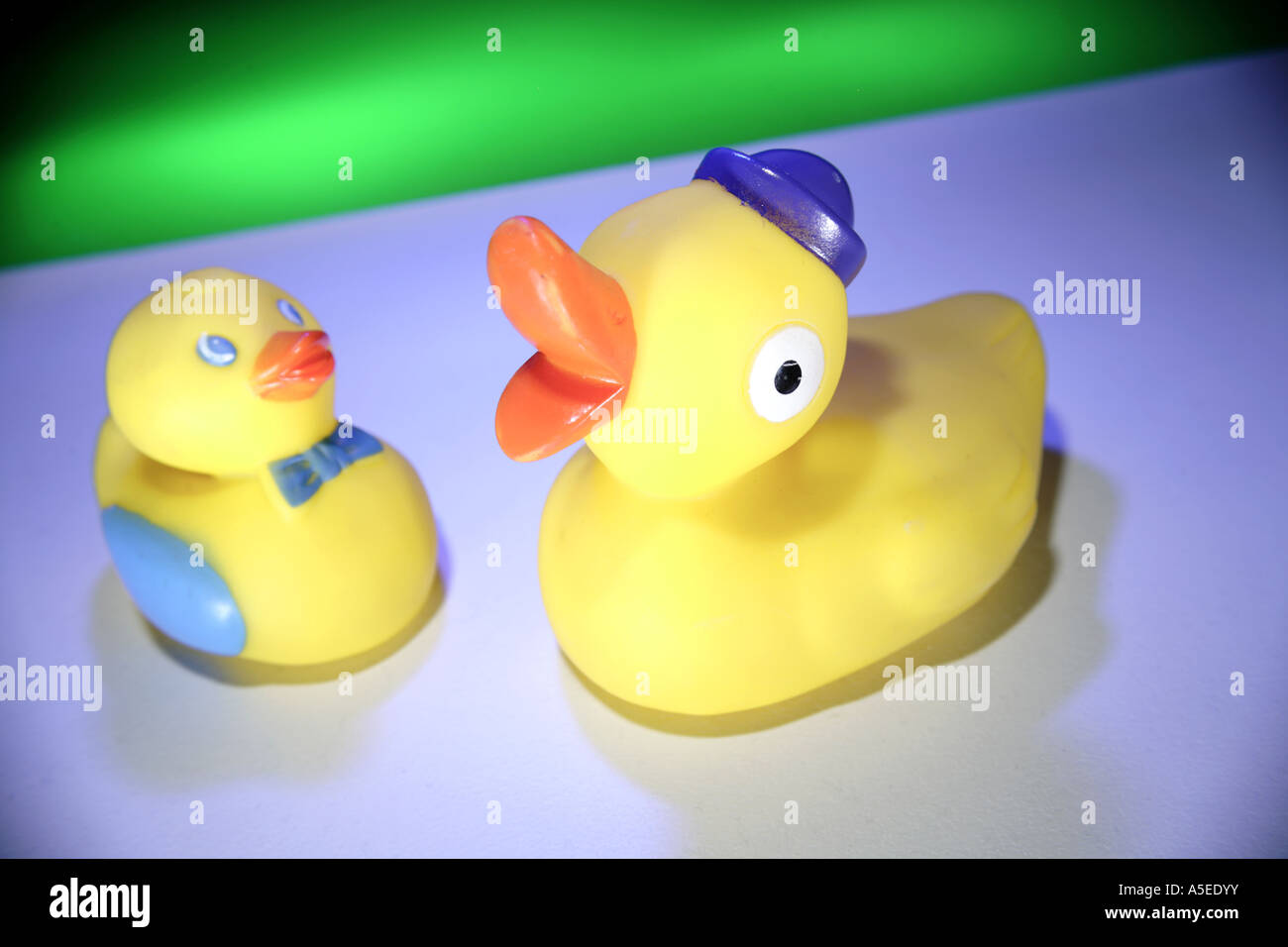 Two yellow rubber toy ducks hi-res stock photography and images - Alamy