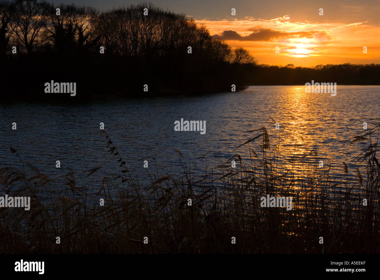 Swindon wiltshire england uk great britain country park hi-res stock ...