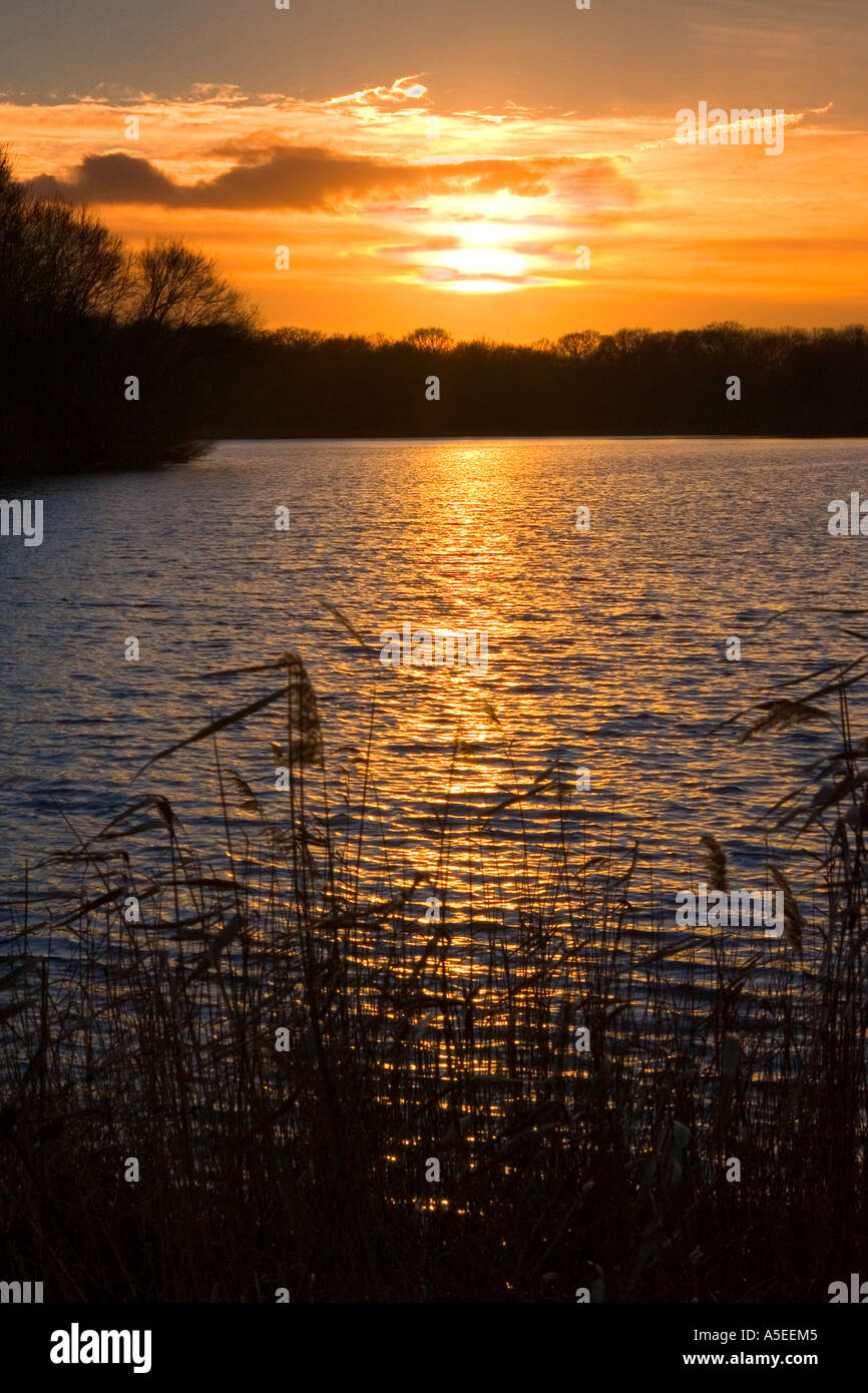 Coate swindon hi-res stock photography and images - Alamy