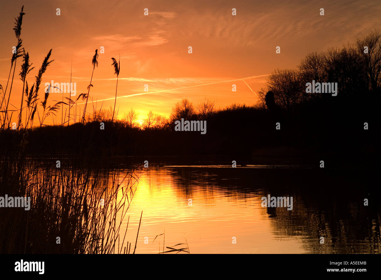 Swindon Wiltshire England Uk Great Britain Country Park High Resolution ...