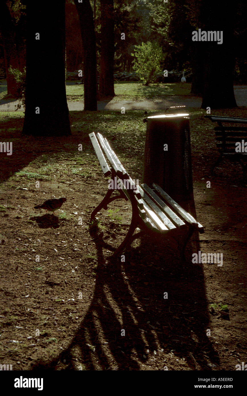 backlit bench and crow Stock Photo - Alamy