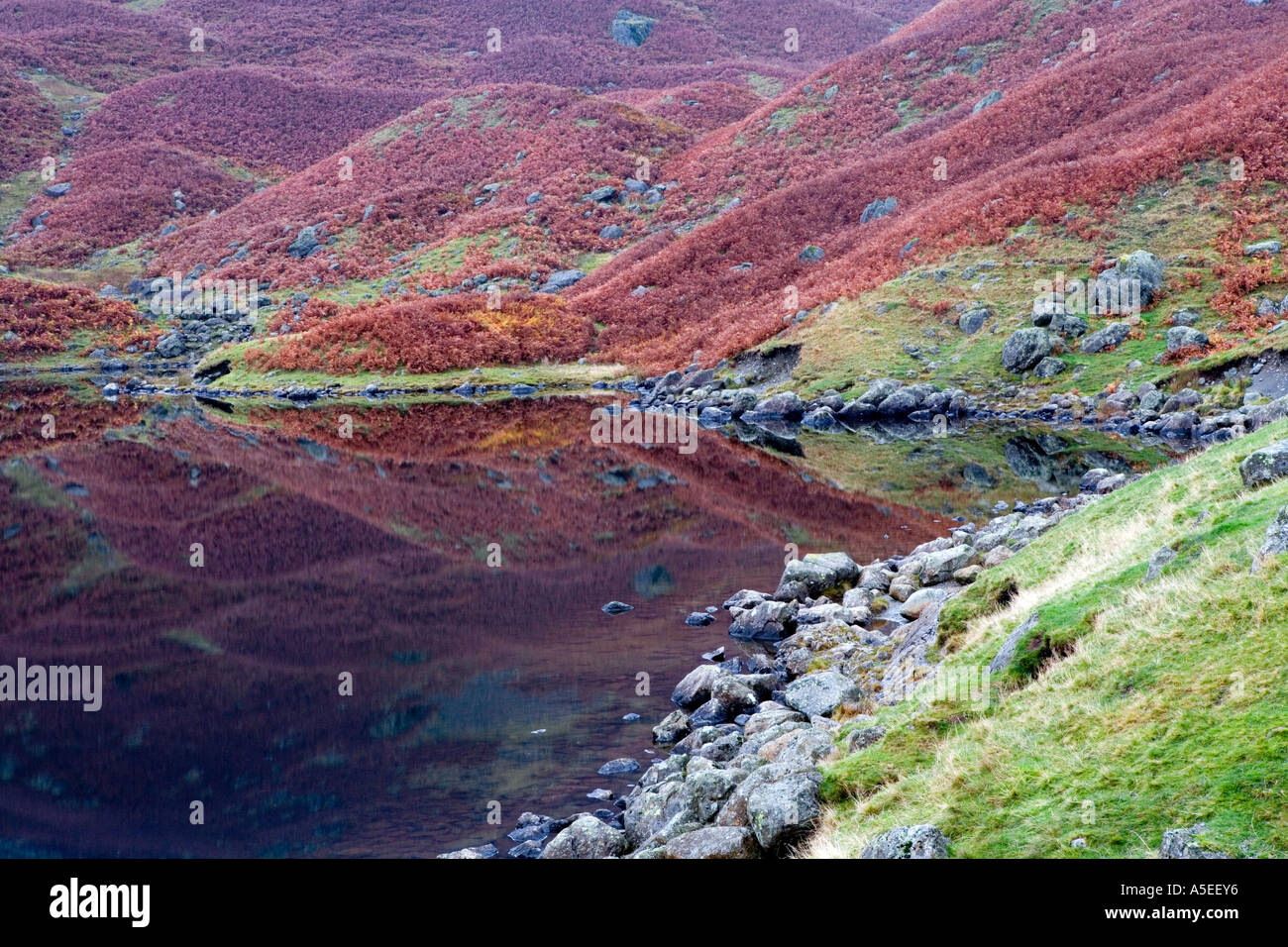 Easedale Tarn Stock Photos & Easedale Tarn Stock Images - Alamy