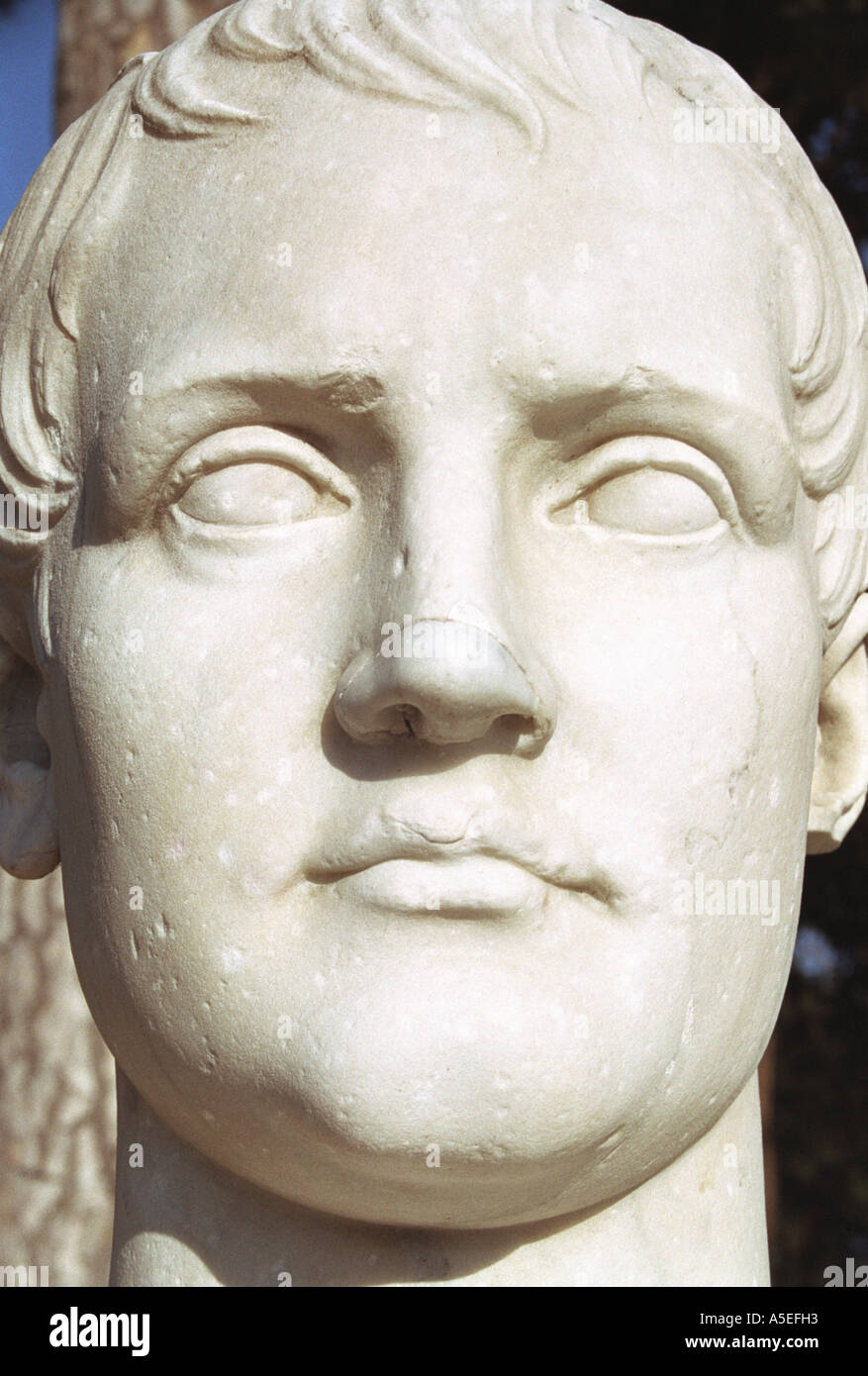 Bust napoleon bonaparte park villa hi-res stock photography and images ...