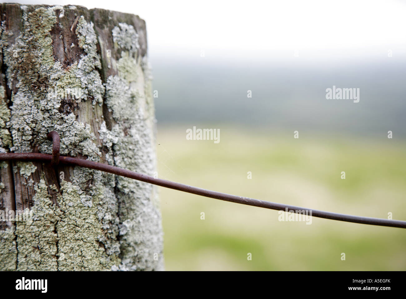 Wire on post Stock Photo - Alamy