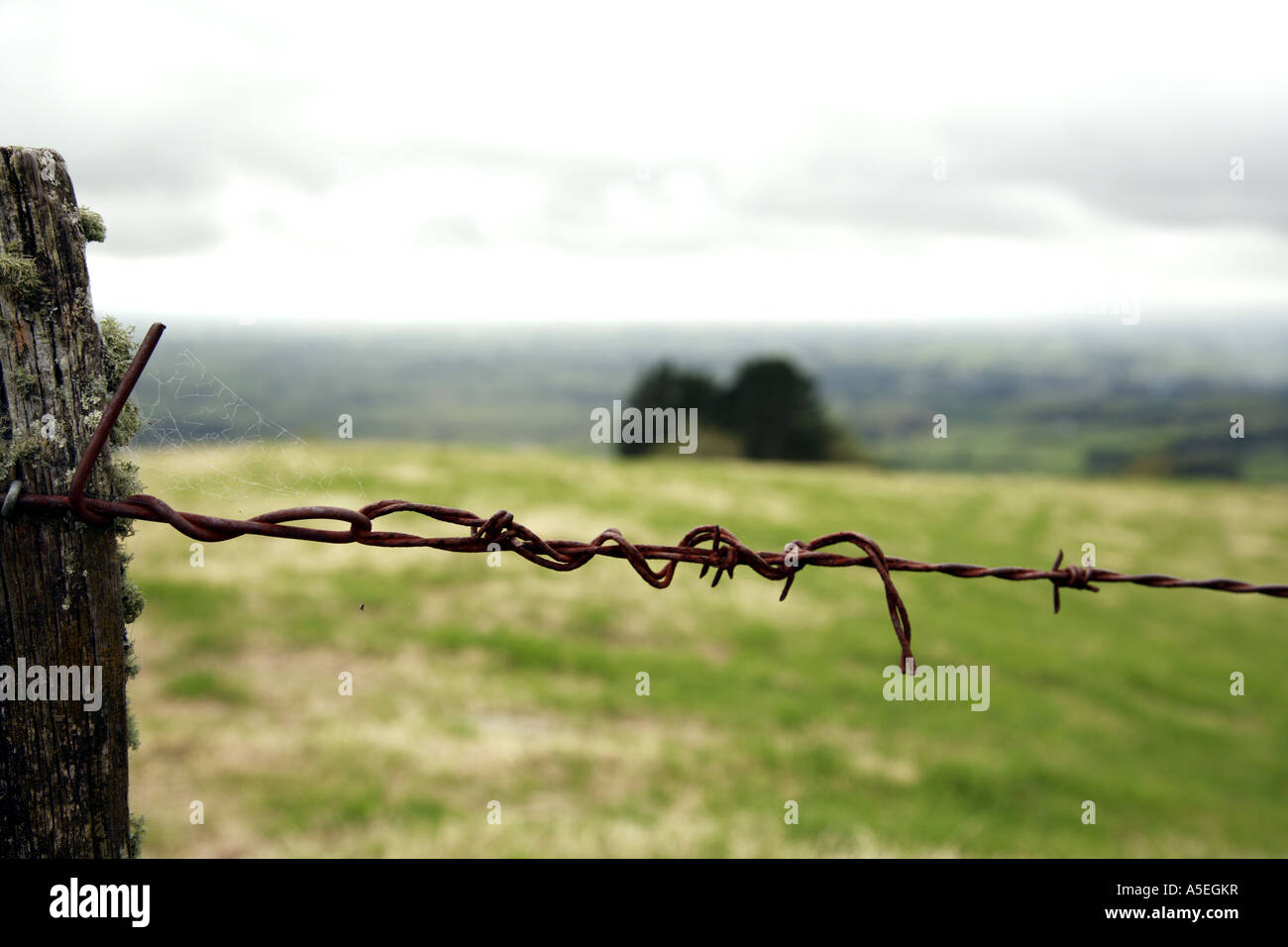 Rusted barb wire fence Stock Photo - Alamy