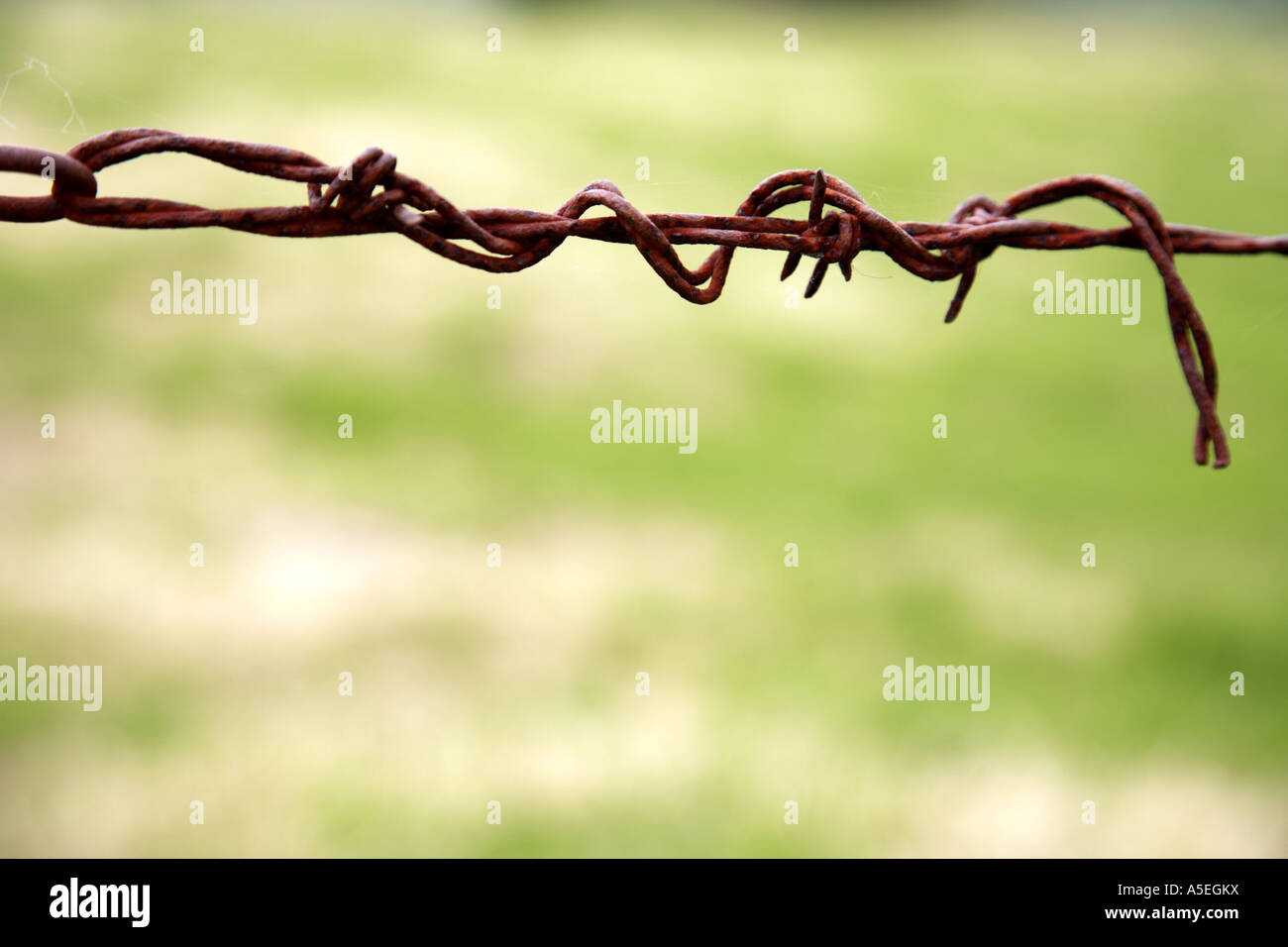 Rusted barb wire Stock Photo - Alamy