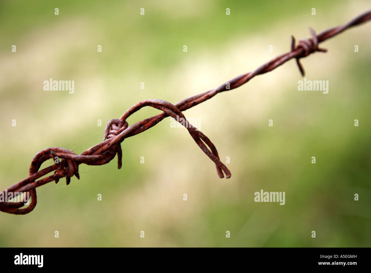 Rusty barbed wire Stock Photo - Alamy