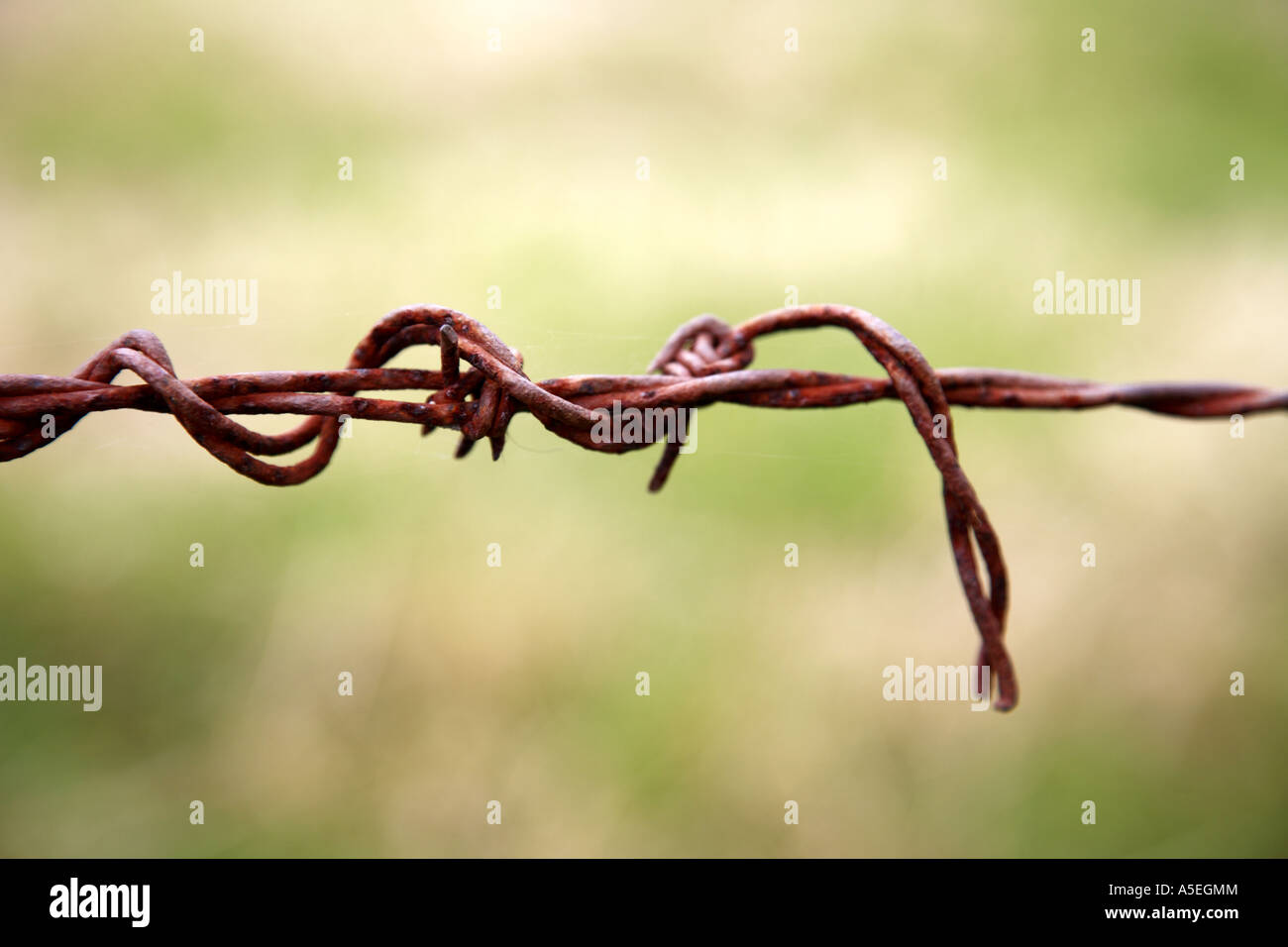 Rusty barbed wire Stock Photo - Alamy