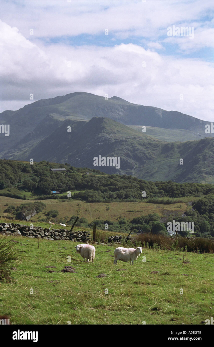 mount snowdon in wales Stock Photo - Alamy