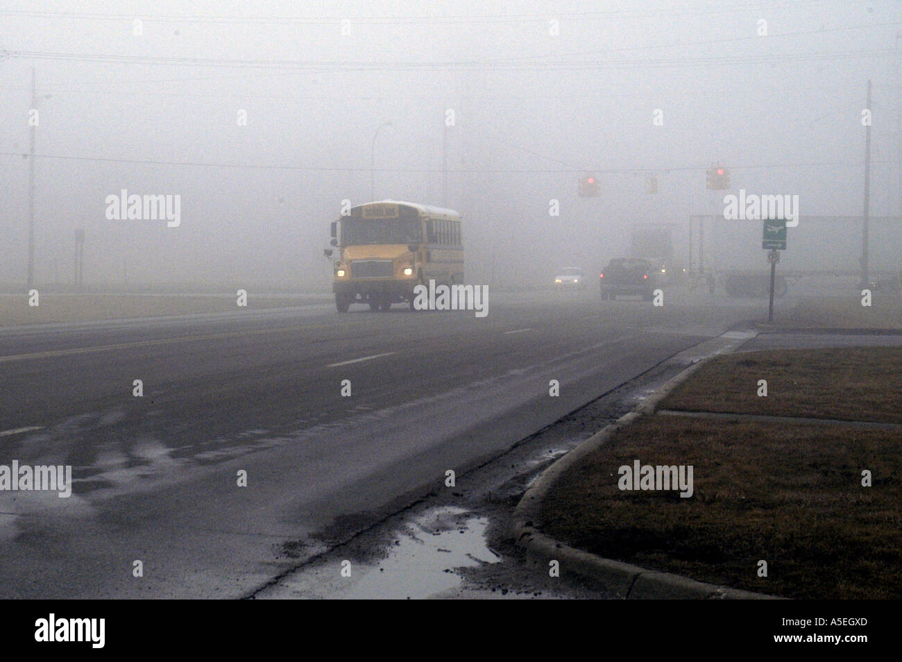 P12 041 School bus emerges from Fog near intersection Stock Photo - Alamy