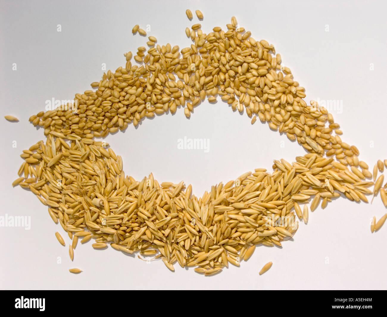 Wheat grains background hi-res stock photography and images - Alamy