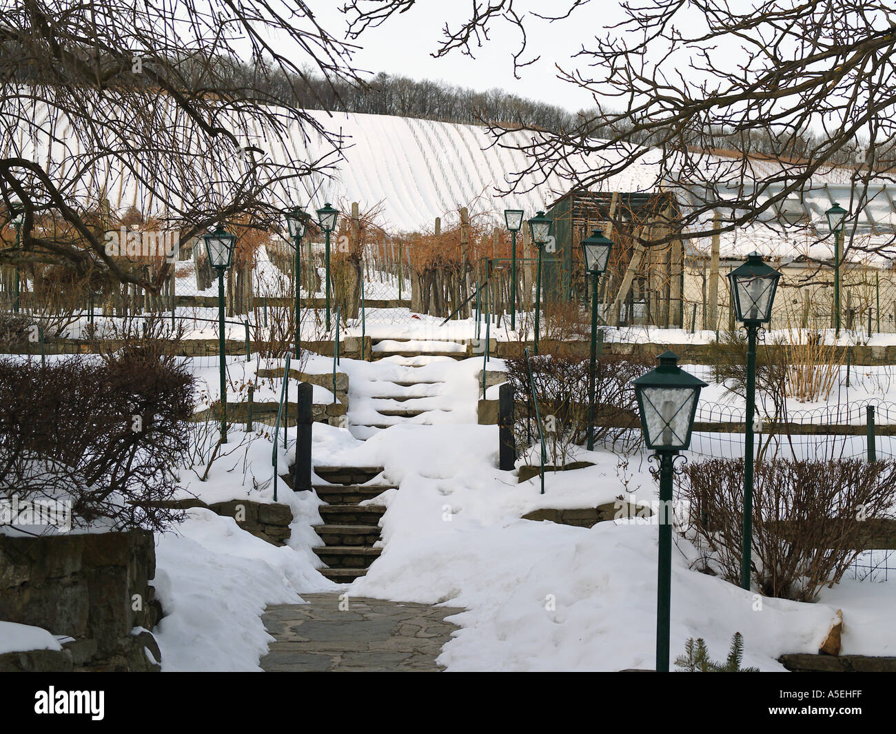 Open for winter garden hi-res stock photography and images - Alamy
