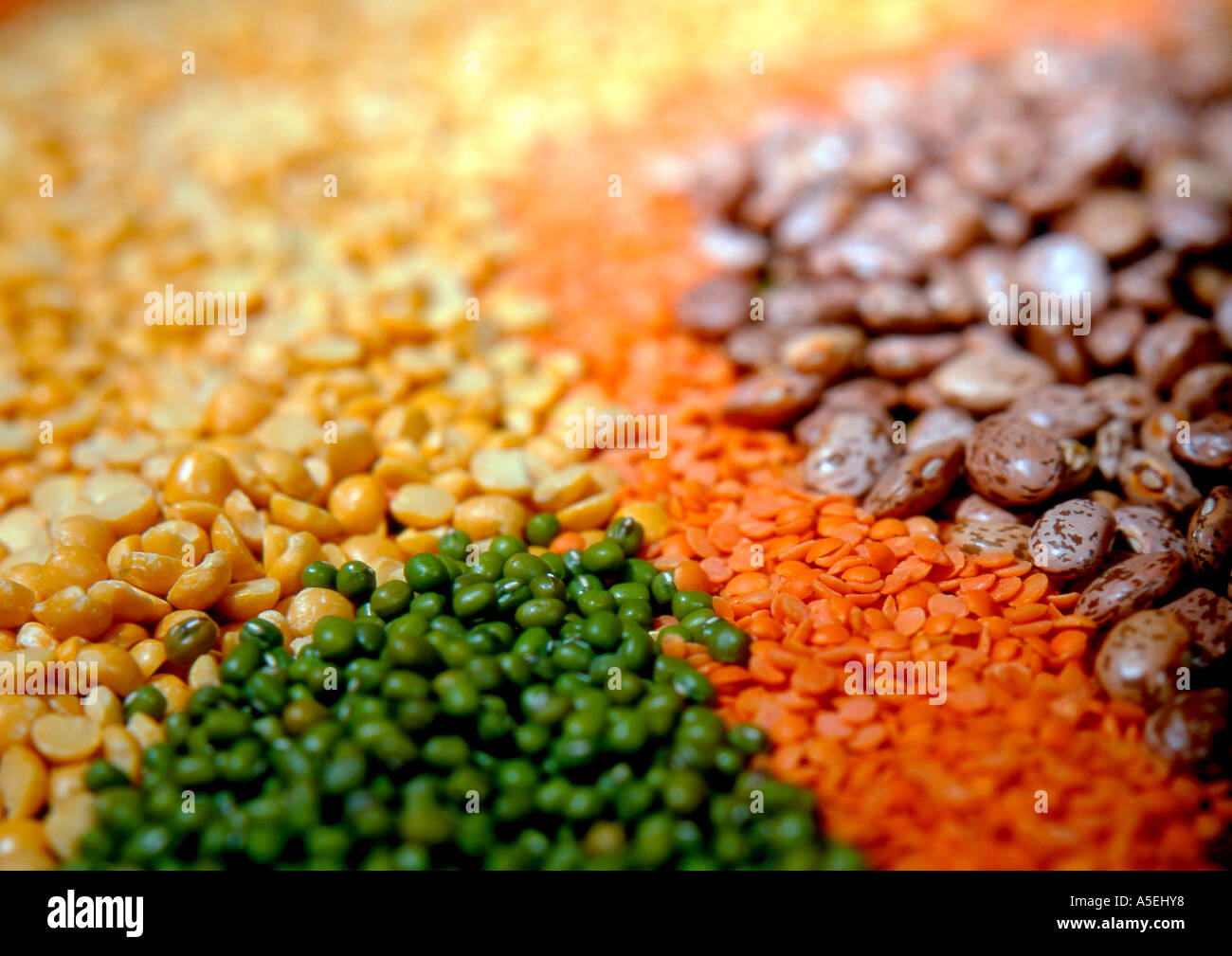 Lentils green beans chickpeas and kidney beans in a colourful spread ...