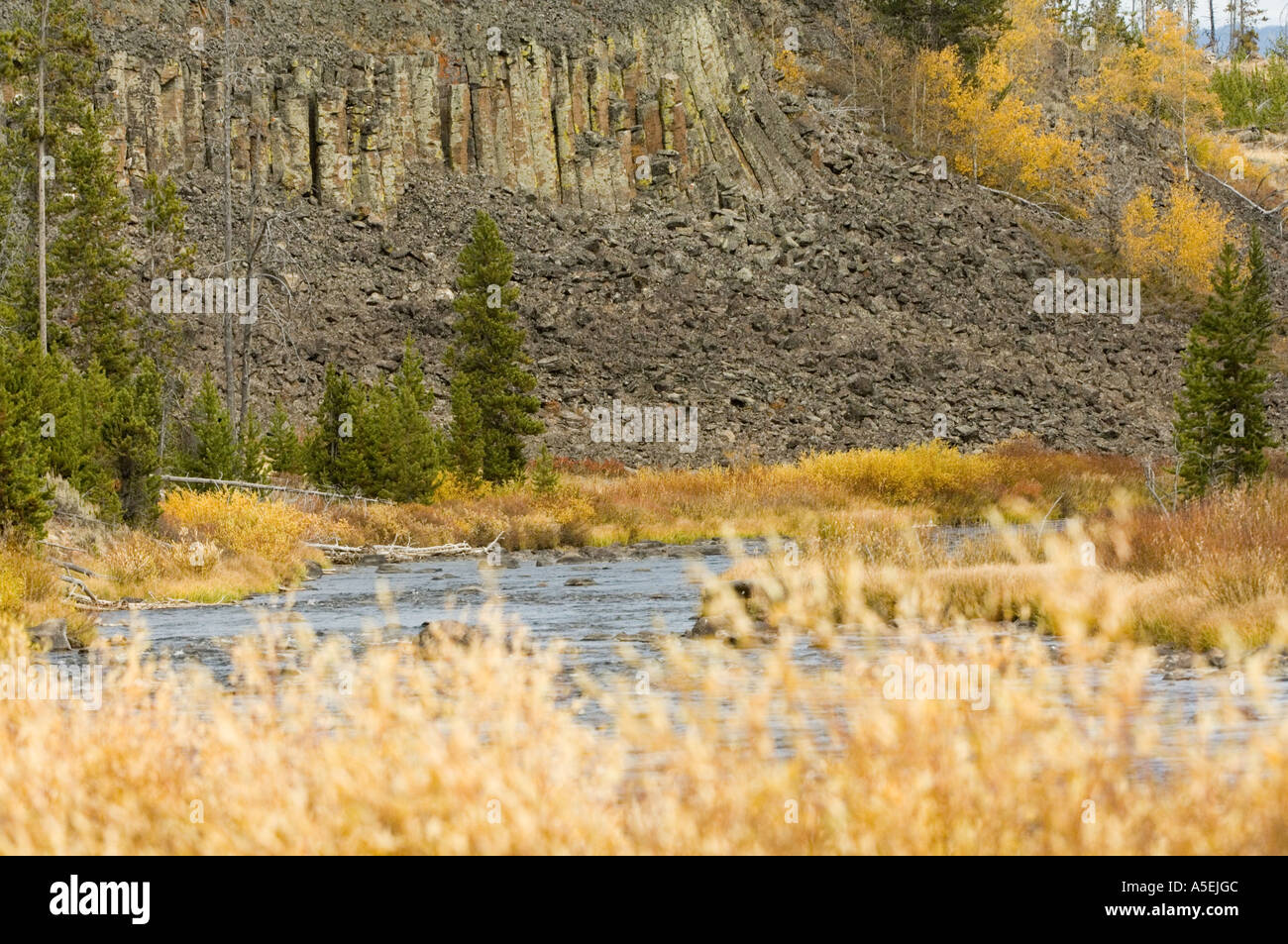 Columnar cooling joints, Sheepeater Cliff, Yellowstone National Park ...